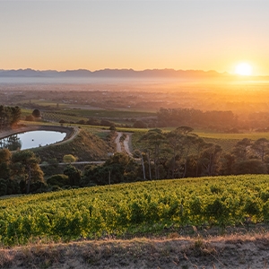 Anwilka ‘Amododa 3’ | Wine Club by Majestic