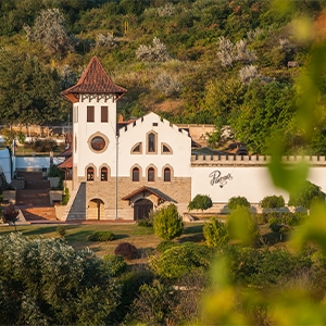 Nocturne' Rară Neagră de Purcari | Wine Club by Majestic