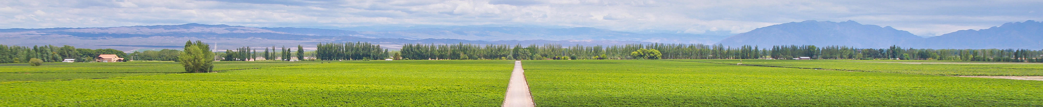 The Expert’s Wine Selection