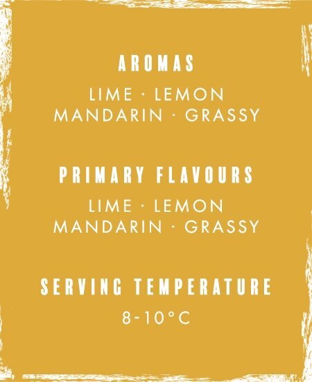 Veramonte Organic Sauvignon Blanc Reserva | Wine Club by Majestic