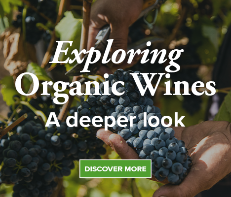 Celebrating 45 Years of Wine Discovery